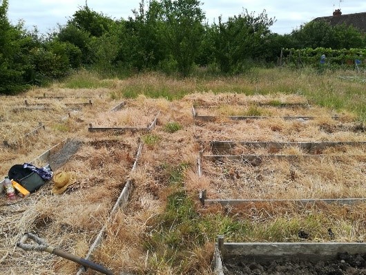 Covid 19 Months | Norton College