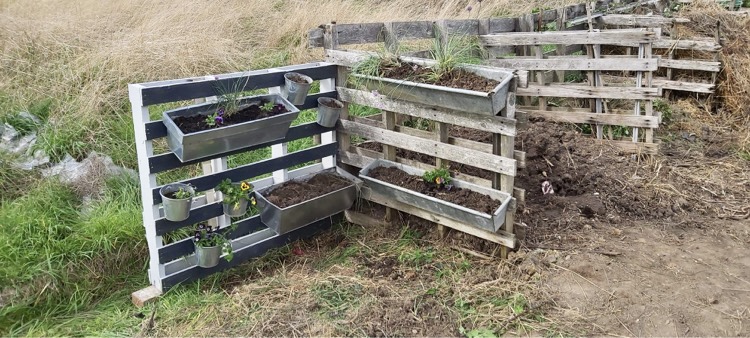 Student Stories | Norton College